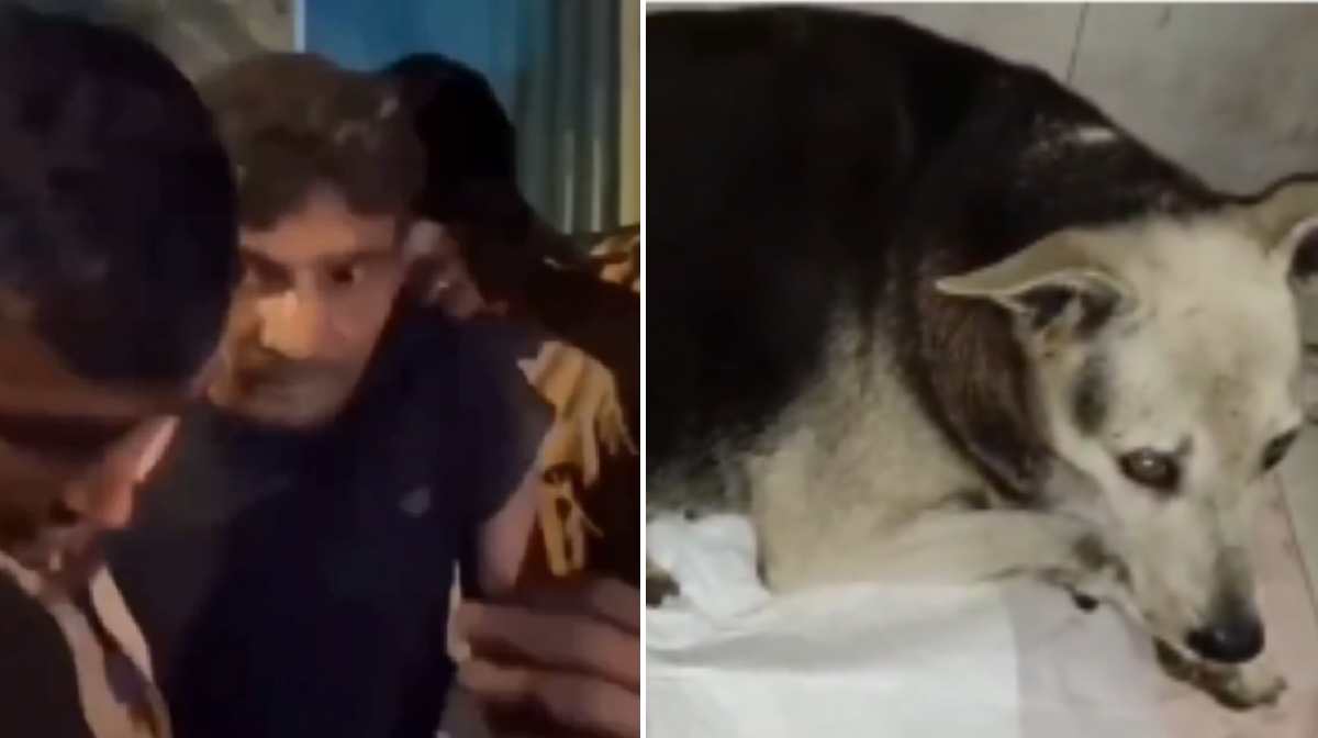 Man Arrested for Dog Molestation in Mumbai | പെണ്‍ നായയെ ലൈംഗികമായി പീ ...