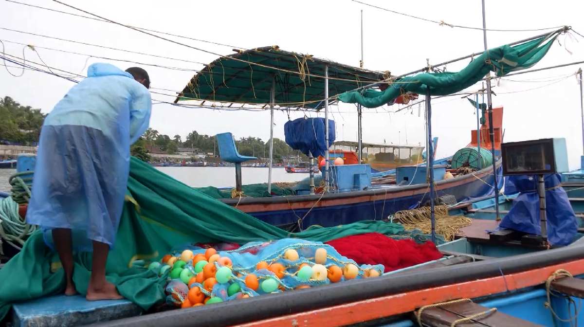 മീന്‍ വേണ്ടെങ്കില്‍ കഴിക്കണ്ട, പക്ഷേ കള്ളപ്രചാരണങ്ങളെന്തിന്? ആശങ്കയില് ...