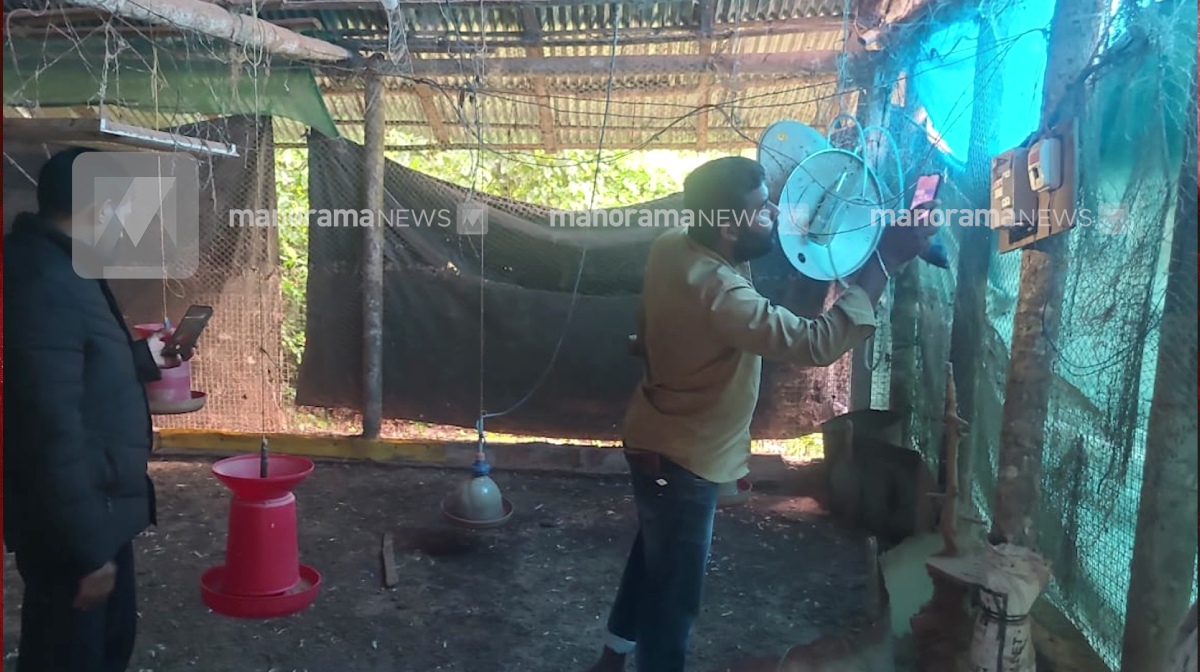 കോഴി ഫാമില്‍ ലൈറ്റിടാനെത്തിയപ്പോള്‍ ഷോക്കേറ്റു; യുവാവ് മരിച്ചു ...