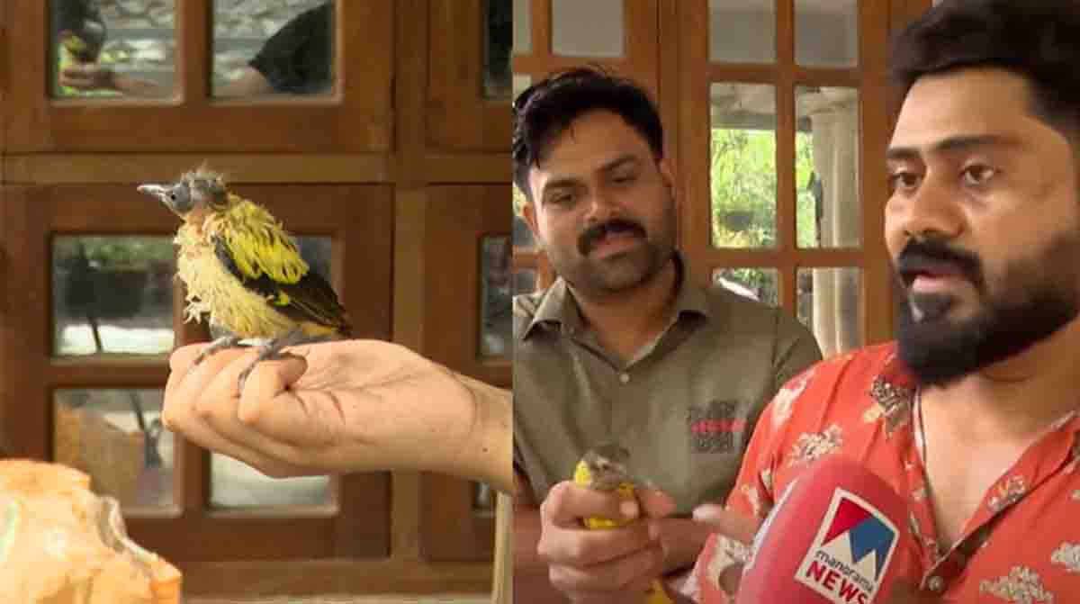 വഴിയില്‍ വീണ് കിട്ടിയ 'മഞ്ഞക്കറുപ്പന്‍'; രക്ഷകനായി അഷ്റഫ്; ഇന്ന് ...