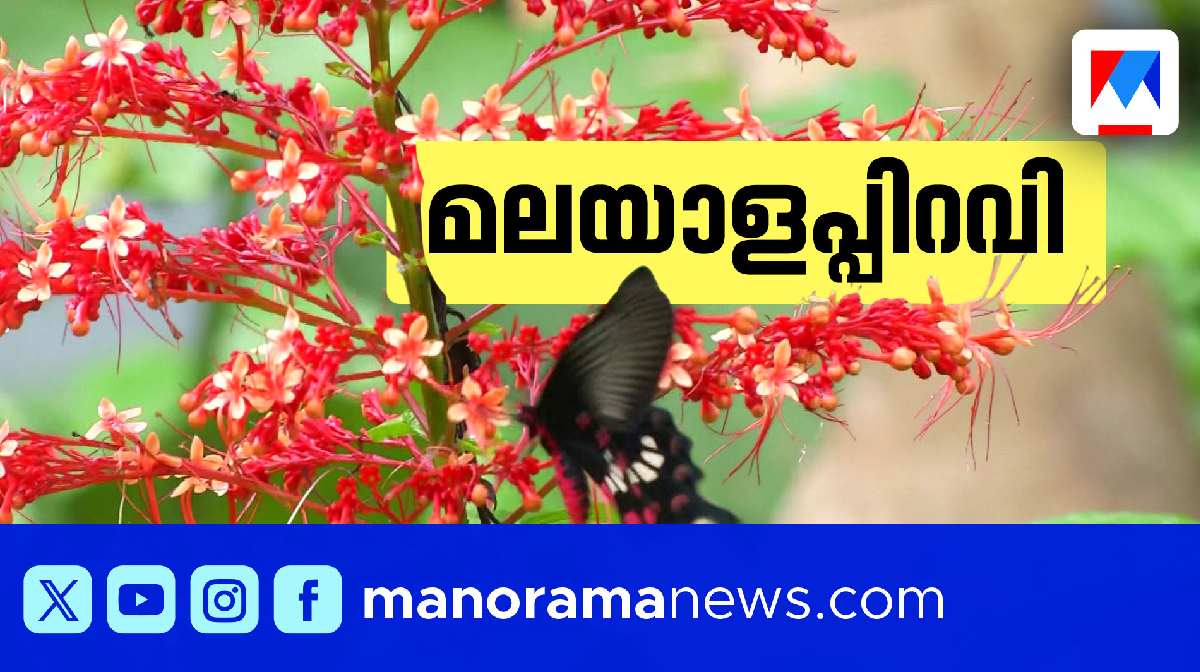 ഗൃഹാതുരതയുണര്‍ത്തി പൊന്നിന്‍ചിങ്ങമെത്തി; മലയാളികള്‍ക്ക് ഇന്ന് പുതുവര് ...