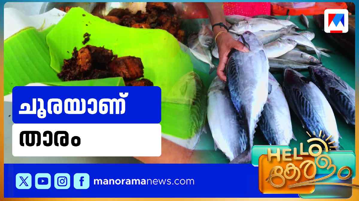 സോഷ്യല്‍ മീഡിയ സ്റ്റാറായി ചൂര..!; ചൂരപ്രേമംa പറഞ്ഞ് ...