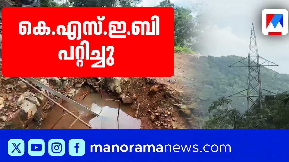 വൈദ്യുതി ലൈനിനായി മരംവെട്ടി മാറ്റിയ കര്‍ഷകരെ ചതിച്ച് കെഎസ്ഇബി | KSEB ...