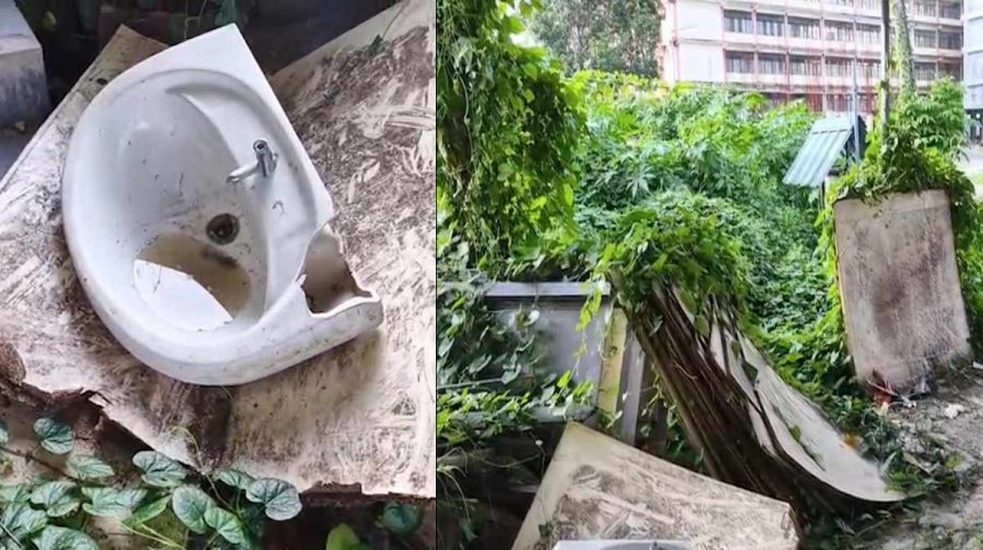 കംഫർട്ട് സ്റ്റേഷൻ പാമ്പു വളർത്തൽ കേന്ദ്രമായി; മെഡിക്കൽ കോളജിൽ ശുചിമുറി ...