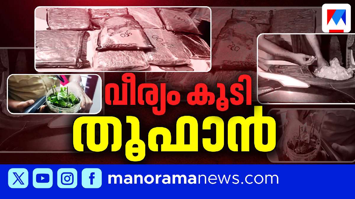 സംസ്ഥാനത്ത് വ്യാപക ലഹരിവേട്ട; വീര്യം ചോരാതെ 'ഓപ്പറേഷന്‍ തൂഫാന് ...
