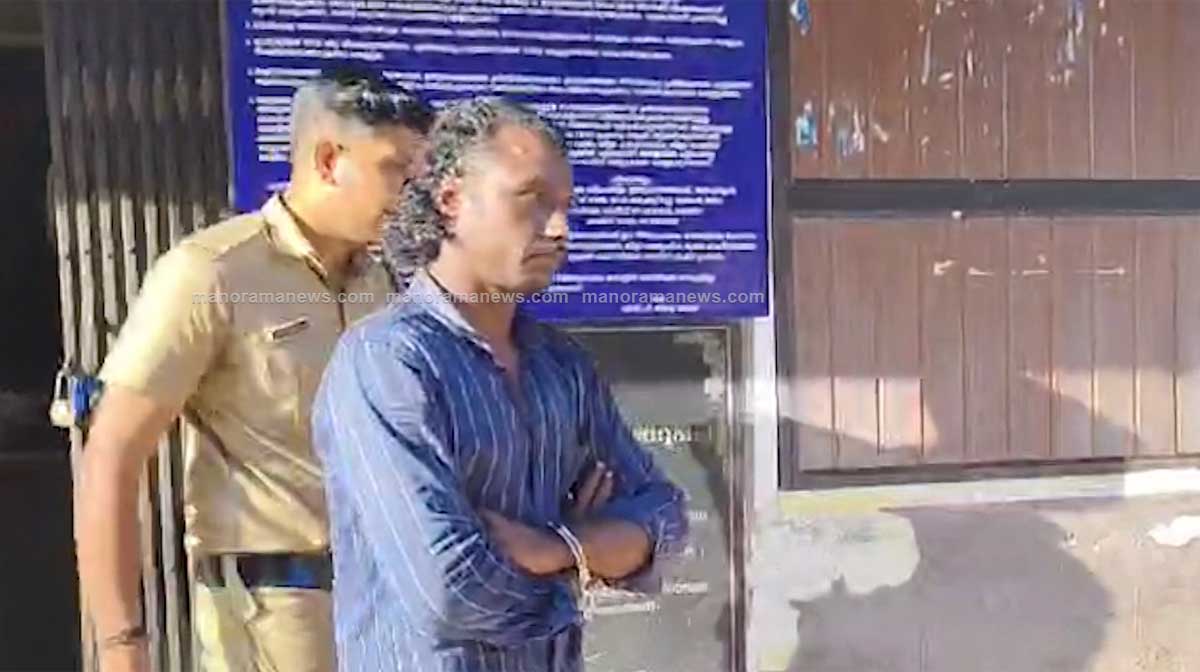 കൊല്ലം ചിതറയില്‍ വീടുകള്‍ക്ക് നേരെ ആക്രമണം നടത്തിയയാള്‍ പിടിയില് ...