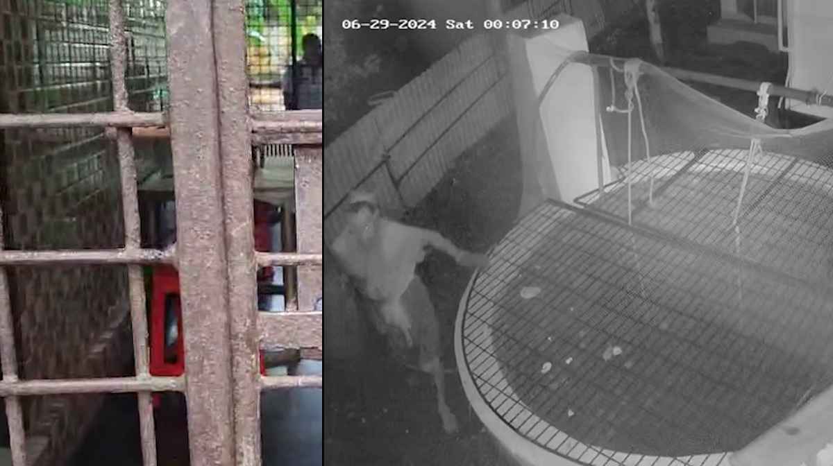 വീടിന്റെ പൂട്ട് തകർത്തു; രണ്ടര പവന്‍റെ പാദസരം കവര്‍ന്നു