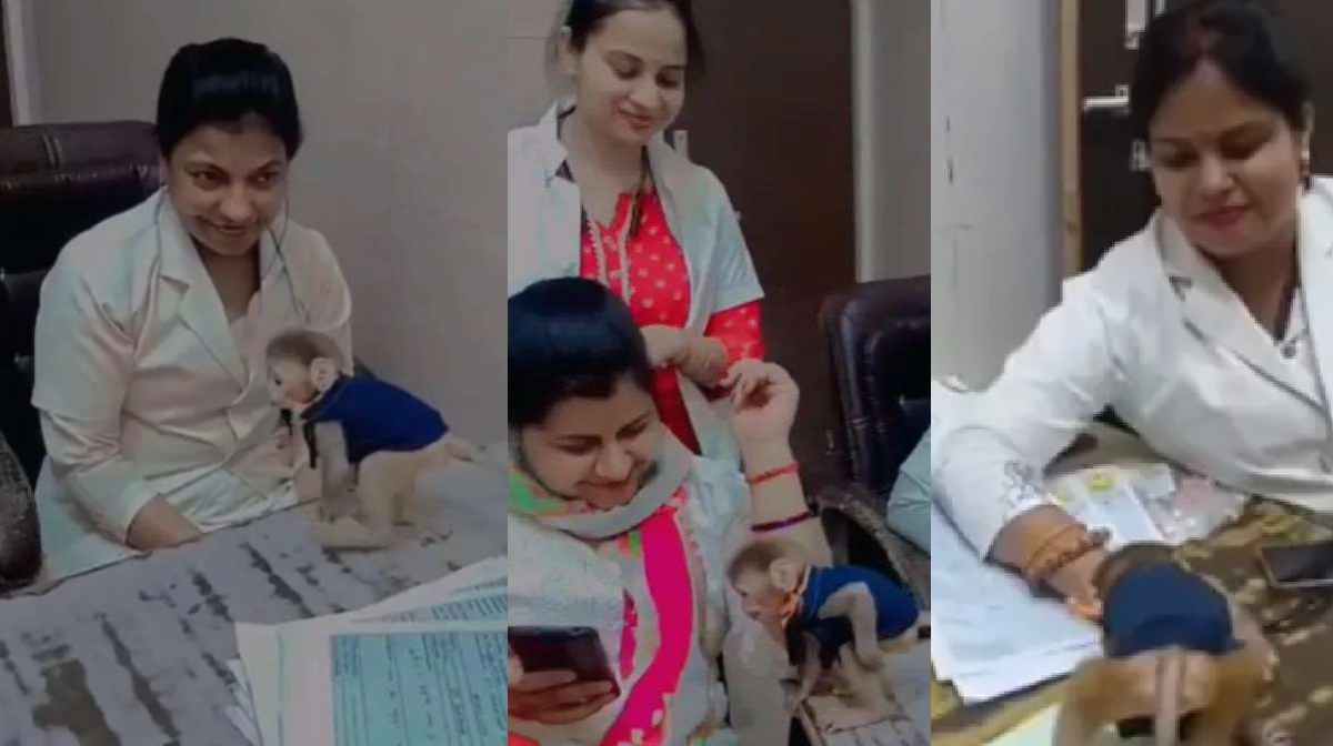 ഡ്യൂട്ടിക്കിടെ കുരങ്ങിനൊപ്പം റീല്‍സ് ; 6 നഴ്സുമാർക്ക് സസ്പെൻഷൻ | viral ...