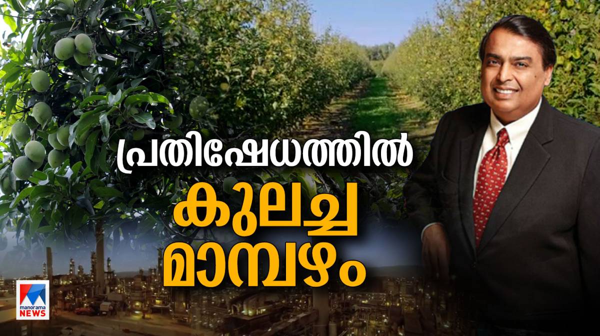പ്രതിഷേധത്തെ മാമ്പഴം കൊണ്ട് തോല്‍പിച്ച അതികായര്‍; റിലയന്‍സിന്റെ ആ ...