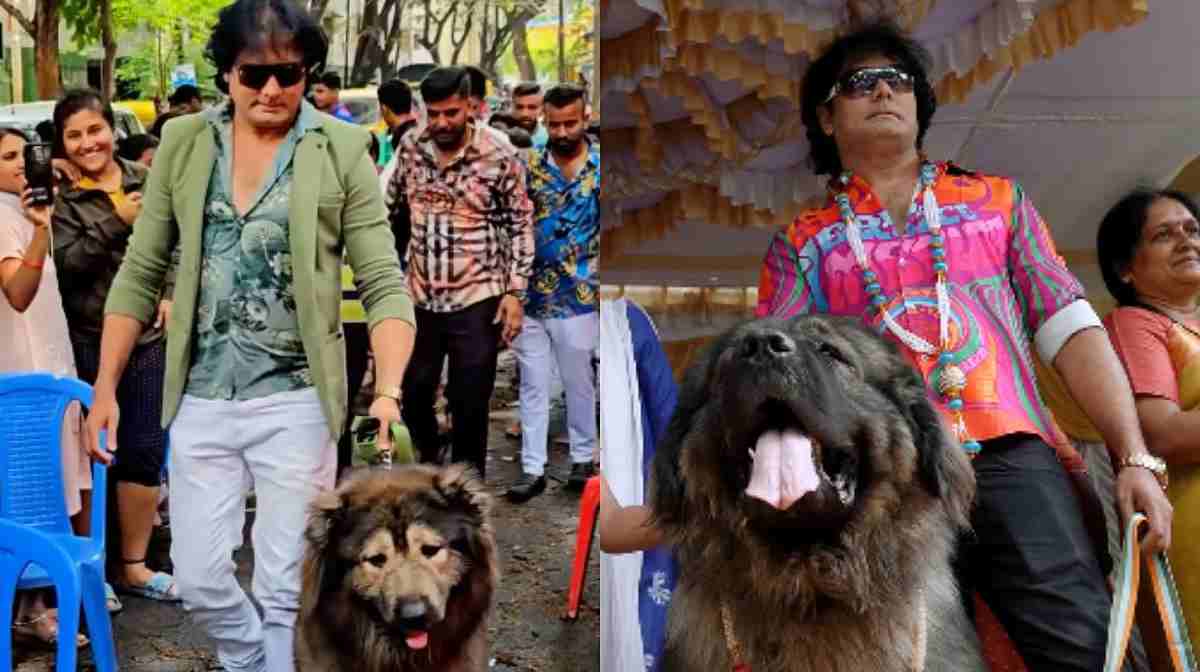 50 കോടിയുടെ നായയെ വാങ്ങി; ബെംഗളൂരു ബ്രീഡറുടെ വീട്ടില്‍ ഇഡി; പിന്നാലെ ...