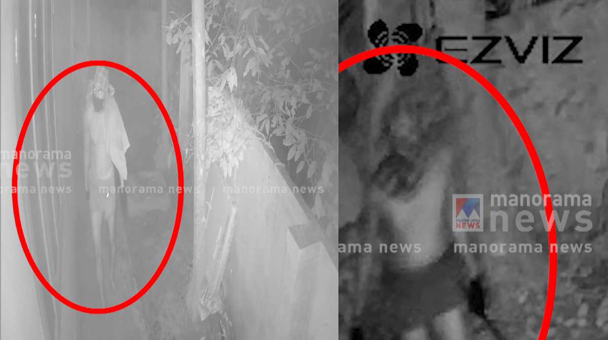 ഭീതി പടര്‍ത്തി കുറുവ സംഘം, അന്വേഷണത്തിന് ഡിവൈഎസ്പി; കൊച്ചിയില് ...