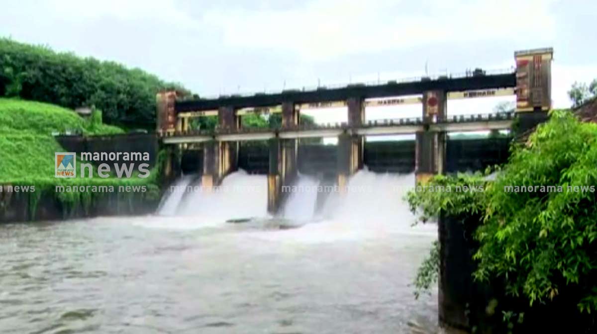 മണിയാര്‍ പദ്ധതി ഏ‌റ്റെടുക്കാ‌തെ സര്‍ക്കാര്‍; സ്വകാര്യ കമ്പനിയില് ...