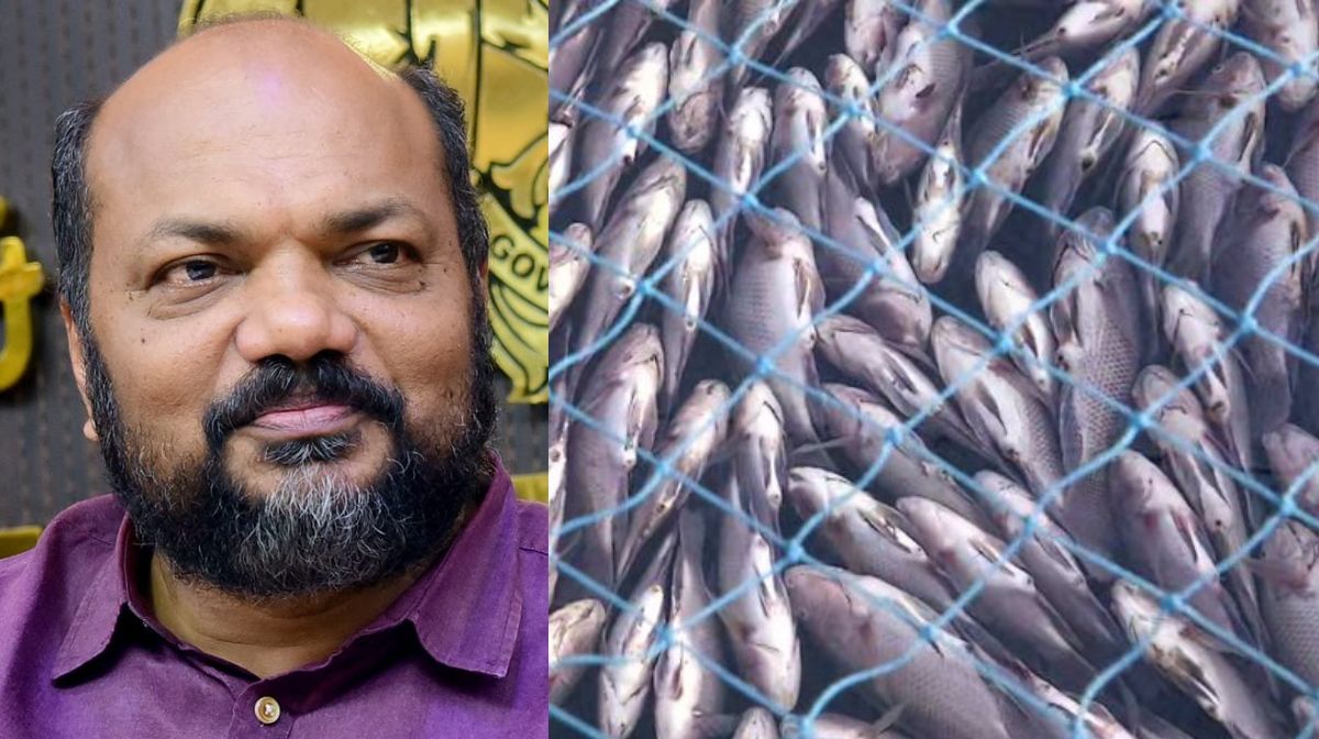Mass fish death | മത്സ്യങ്ങൾ ചത്തു പൊങ്ങിയ സംഭവം: സിസിടിവി ദൃശ്യം ...