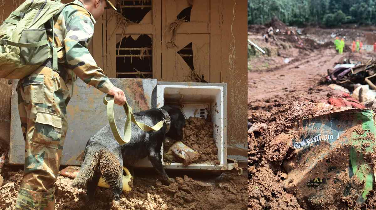 Chooralmala | Mundakai | Landslide | Wayanad | ചൂരൽമലയിലും ...