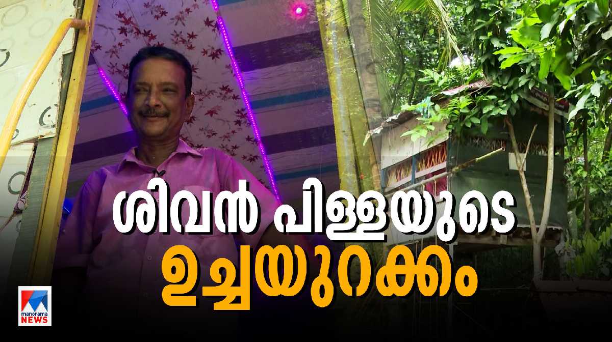 ഉച്ചയുറക്കം മരത്തിനു മുകളില്‍; തുച്ഛമായ ചെലവില്‍ ഒരു ഏറുമാടം ...
