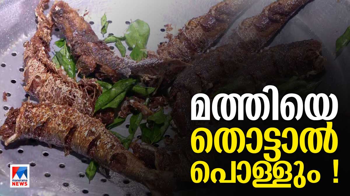 Fish | Mathi | Chala | വിലയെത്ര കയറിയാലും മത്തി നമ്മുടെ മത്തിയല്ലെ ...