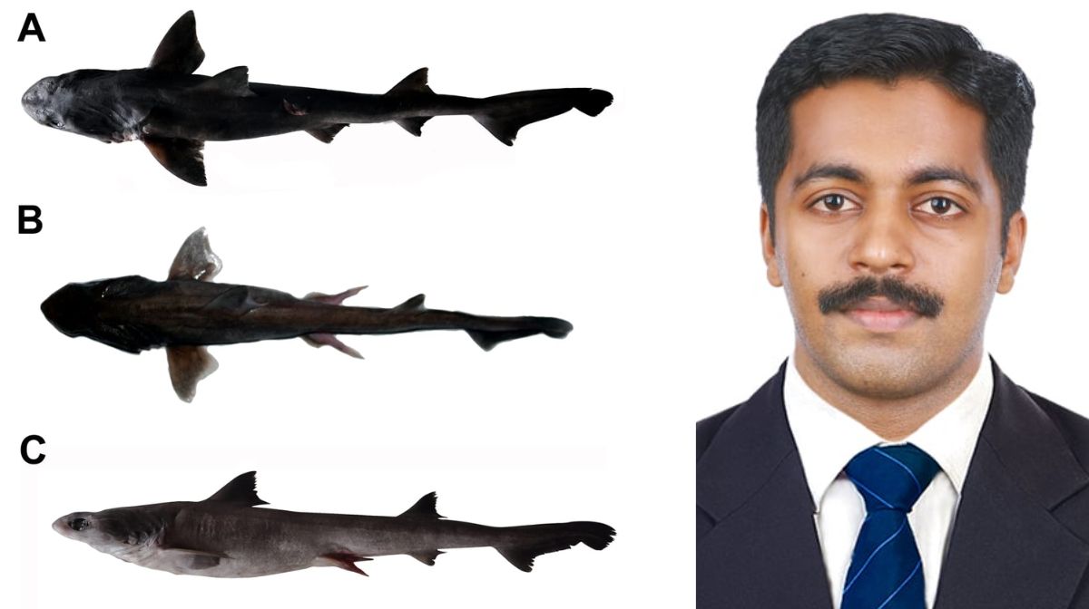 ഏറ്റവും പുതിയത് 'ഗോപാലകൃഷ്ണന്‍'; മത്സ്യങ്ങളെ തിരിച്ചറിയും മീനുകളുടെ ...