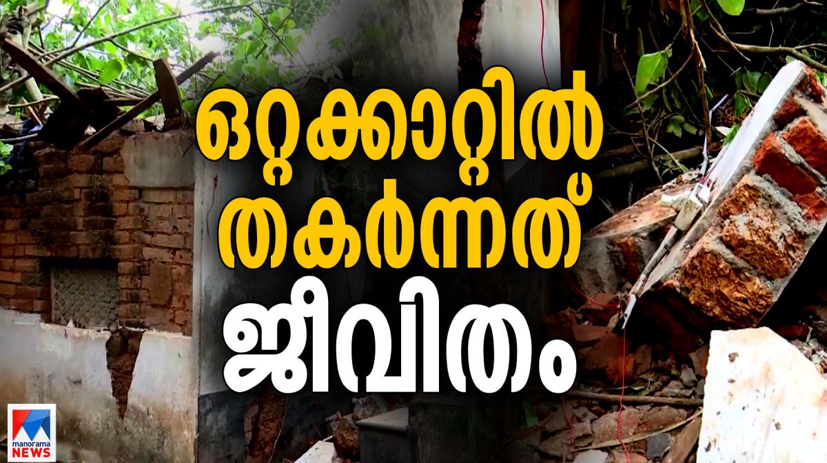 100 വര്‍ഷം പഴക്കമുള്ള കൂറ്റന്‍ ആല്‍മരം, 50 വര്‍ഷം പഴക്കമുള്ള വീട് തകര് ...