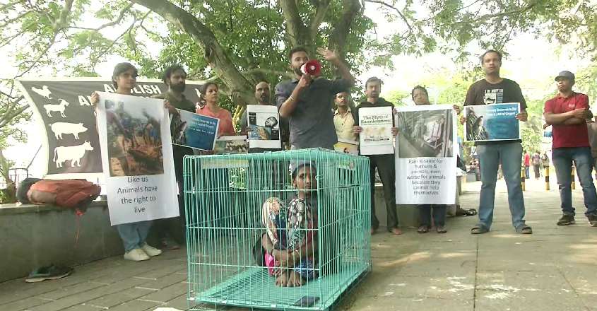 മൃഗങ്ങളെ വളർത്തുന്ന കൂട്ടിൽ യുവതി; പ്രതിഷേധവുമായി മൃഗാവകാശ പ്രവർത്തകര് ...