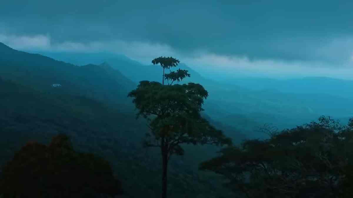 മഴ നനഞ്ഞൊരു യാത്ര പോയാലോ? മണ്‍സൂണില്‍ വിരുന്നൊരുക്കുന്ന ഇടങ്ങള് ...