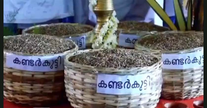 നാടൻ നെൽവിത്തിനങ്ങളുടെ സംരക്ഷണം: പുതുതായി 15 ഇനം നെൽവിത്തുകൾ കൂടി