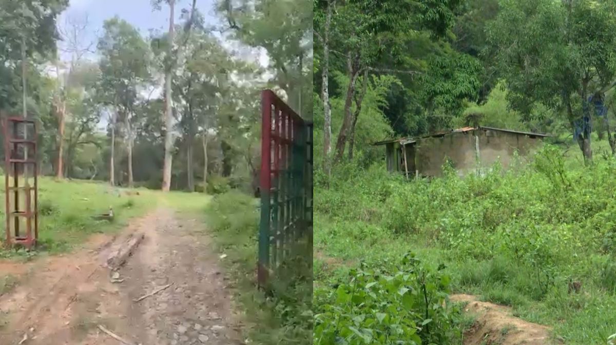 Manal vayal village| മണല്‍വയല്‍ ഗ്രാമത്തിലെത്താന്‍ വനത്തിലൂടെ 2 ...