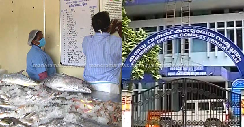 മീന്‍ വാങ്ങിയതിനും വിറ്റതിനും കണക്കില്ല; മല്‍സ്യഫെഡിൽ സർവത്ര അഴിമതി ...