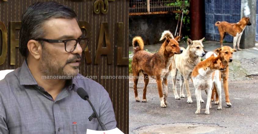 തെരുവുനായകളെ പിടിക്കാന്‍ ആളെകിട്ടാനില്ല; വാക്സിനേഷന്‍ യജ്ഞം പാളി ...