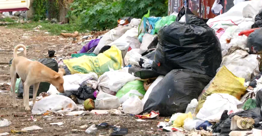 മാലിന്യം വലിച്ചെറിഞ്ഞാല്‍ അര ലക്ഷം വരെ പിഴ; ഓര്‍ഡിനന്‍സ് അംഗീകരിച്ചു ...