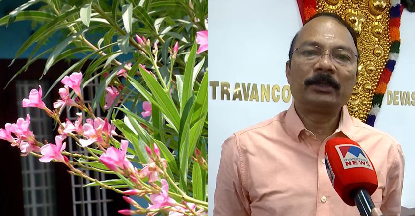 Arali flower| Temples| Death| Ban|Travancore Devaswom Board| PS ...