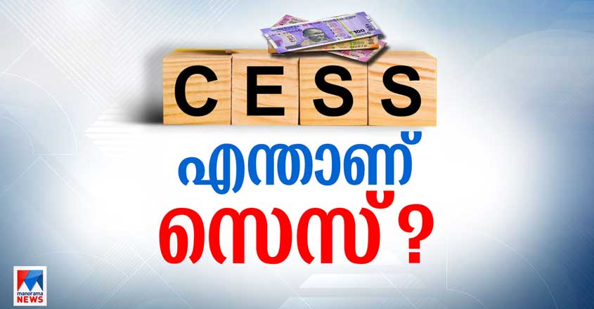 Cess| Budget 2024|എന്താണ് സെസ്? വിവിധതരം സെസുകള്‍ ഏതൊക്കെ? | Manorama News