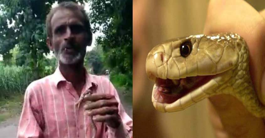 മദ്യപിച്ച് ലക്കുകെട്ടു ജീവനുള്ള പാമ്പിനെ വിഴുങ്ങി; ആൾ മരിച്ചു; വി‍ഡിയോ ...