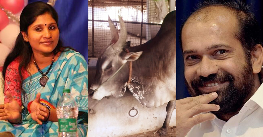 എന്റെ കാളപെറ്റു, ആ കയറെടുത്തേ...'; ദിപ നിശാന്തിനെ പരിഹസിച്ച് അനിൽ അക്കര ...