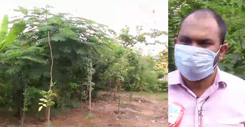 പത്തിടങ്ങൾ പച്ചതുരുത്തുകളാക്കി മലയാളി; ചെന്നൈയെ ഹരിതാഭമാക്കാൻ വേറിട്ട ...