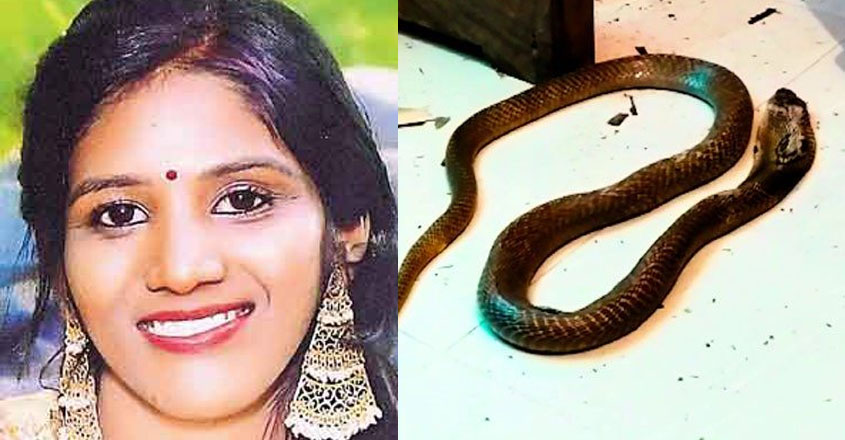 രാജസ്ഥാനിൽ പാമ്പ് കടിപ്പിച്ച് കൊന്നക്കേസിൽ സുപ്രീംകോടതി പറഞ്ഞത്