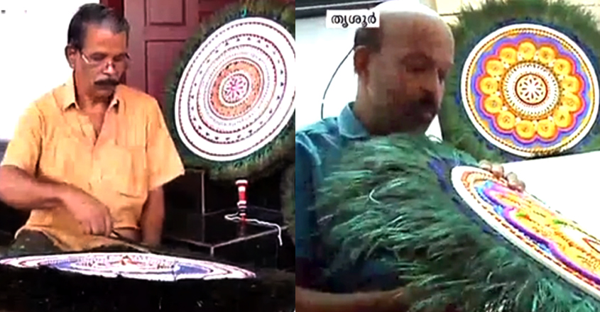 പൂരപ്രേമികളുടെ ആരവത്തോടൊപ്പം ആനപ്പുറത്തെ ആലവട്ടവും; മയിൽപ്പീലിയി ...