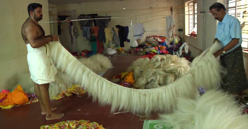 പൂരത്തിന് പകിട്ടേറും വെൺചാമരം; പിന്നിൽ കയ്പേറും കഠിനാധ്വാനം ...