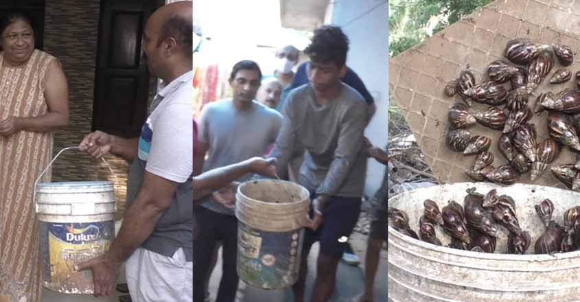 ഒച്ചൊന്നിന് ഒരു രൂപ; പിന്നാലെ ചാക്കു നിറയെ ഒച്ചുകളുമായി നാട്ടുകാ ...