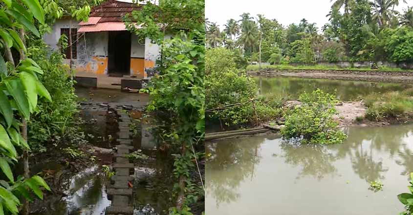 ഉപ്പുവെള്ളത്തിലും ചെളിയിലും മുങ്ങി ജീവിതം; ദുരിതച്ചുഴിയിൽ കുമ്പളത്തുകാ ...