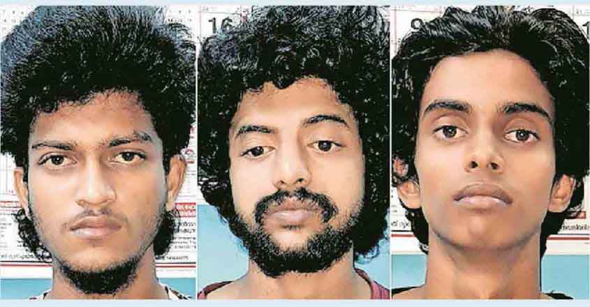 ‘തുന്നിക്കെട്ടില്ല, പുരികം വടിക്കണം’; വനിതാ ഡോക്ടറെ അസഭ്യം പറഞ്ഞ 3 പേ ...