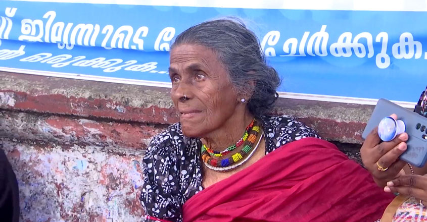 എൻഡോസൾഫാൻ ദുരിതബാധിതരോട് സർക്കാരിന് നിഷേധാത്മക നിലപാടെന്ന് ദയാബായി ...