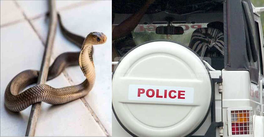 ‘പാമ്പ് കടിച്ചു സാറേ, രക്ഷിക്കണം...’, സ്റ്റേഷനിലേക്ക് ഓടിക്കയറി യുവാവ് ...