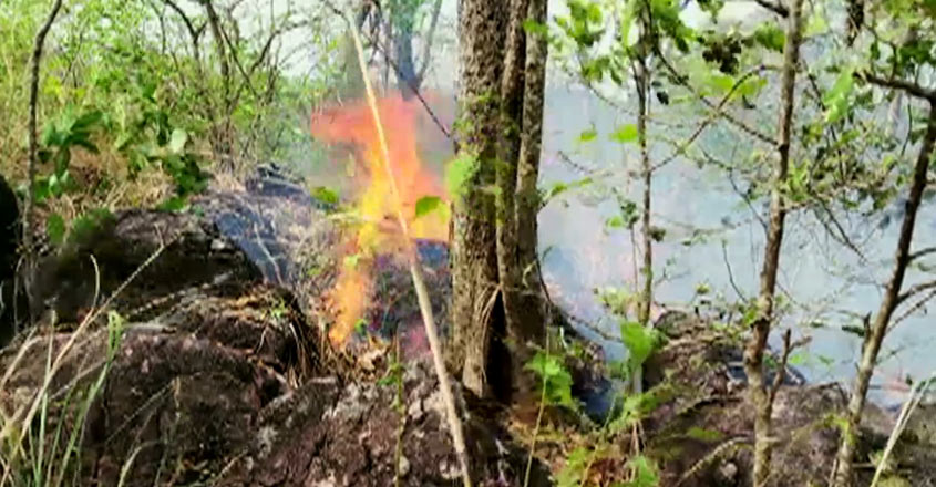 പാലോട് വനമേഖലയില്‍ കാട്ടുതീ; അഞ്ച് ഏക്കറോളം ഭാഗത്തെ അടിക്കാട് നശിച്ചു | Palode | Fire | Manorama ...