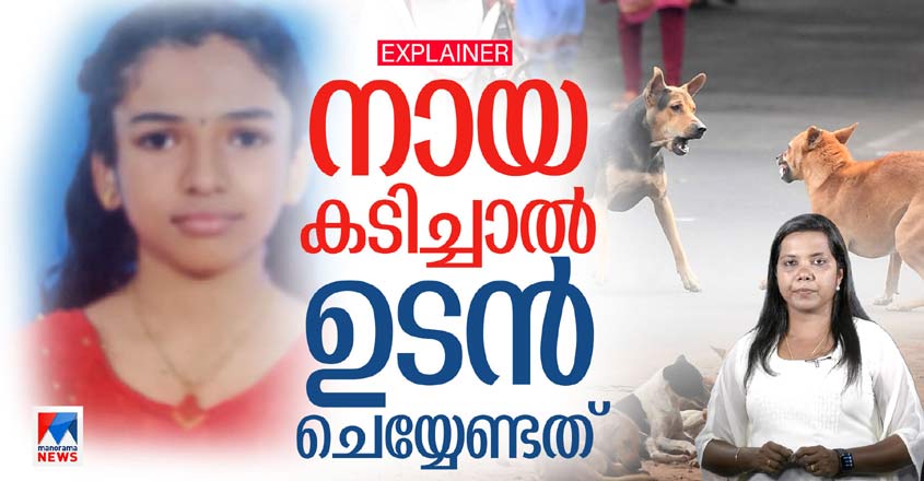 നായ കടിയേറ്റാല്‍ എന്തുചെയ്യണം?; കരുതേണ്ടതും അറിയേണ്ടതും | malayalam ...