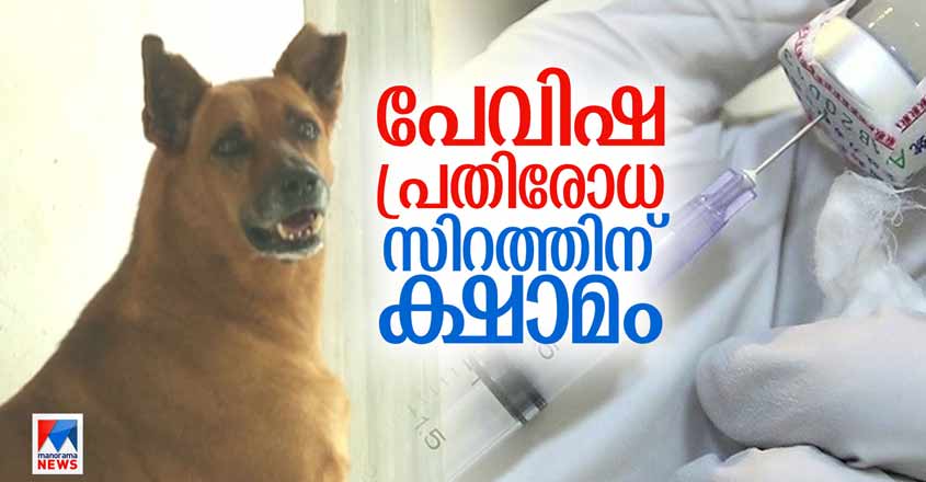 പേവിഷ പ്രതിരോധ സിറത്തിന് കടുത്ത ക്ഷാമം; ഉദ്യോഗസ്ഥ വീഴ്ചയെന്ന് ആക്ഷേപം ...