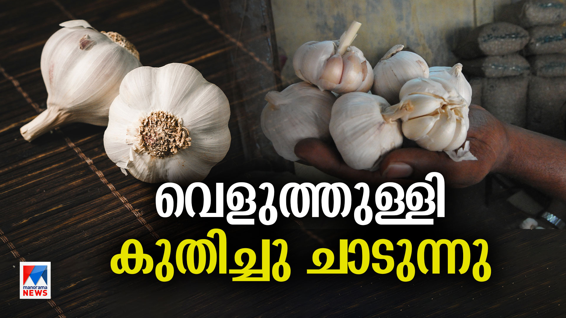 Garlic | Prices | 180 ല്‍ നിന്ന് 300 ലേക്ക്; കുതിച്ചുയര്‍ന്ന് ...
