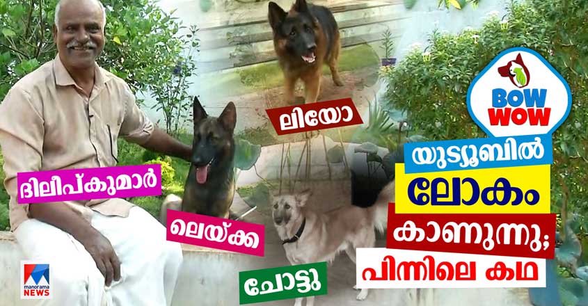 Kollam | Dog | ചോട്ടുവിന് പകരം ലിയോയും ലെയ്ക്കയും; ഇവരുടെ കുസൃതികള് ...