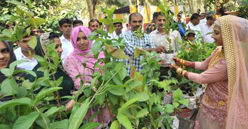 വിവാഹത്തിനെത്തിയവർക്കു വൃക്ഷത്തൈകൾ; വേറിട്ട മാതൃകയുമായി വധു | Tree ...
