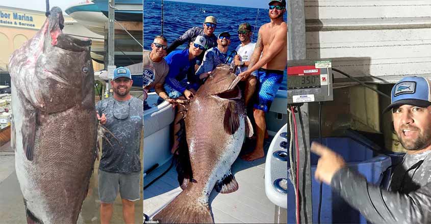 അമ്പരിപ്പിച്ച് ഭീമന്‍ മല്‍സ്യം; വലുപ്പംകൊണ്ടും പ്രായംകൊണ്ടും ഞെട്ടിച്ചു ...