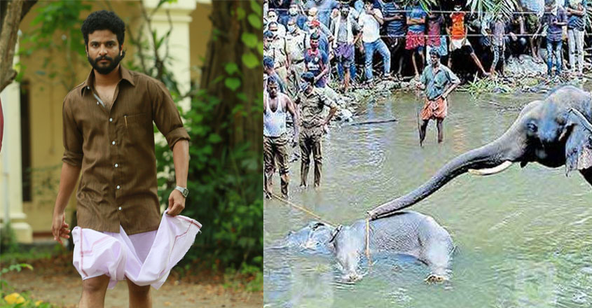 ആനപ്രശ്നം വർഗീയവത്കരിക്കാൻ ശ്രമിക്കുന്നവർ വണ്ടി വിട്ടോ; രൂക്ഷ ...